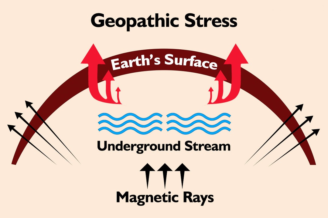 Home - Yash Energy Science